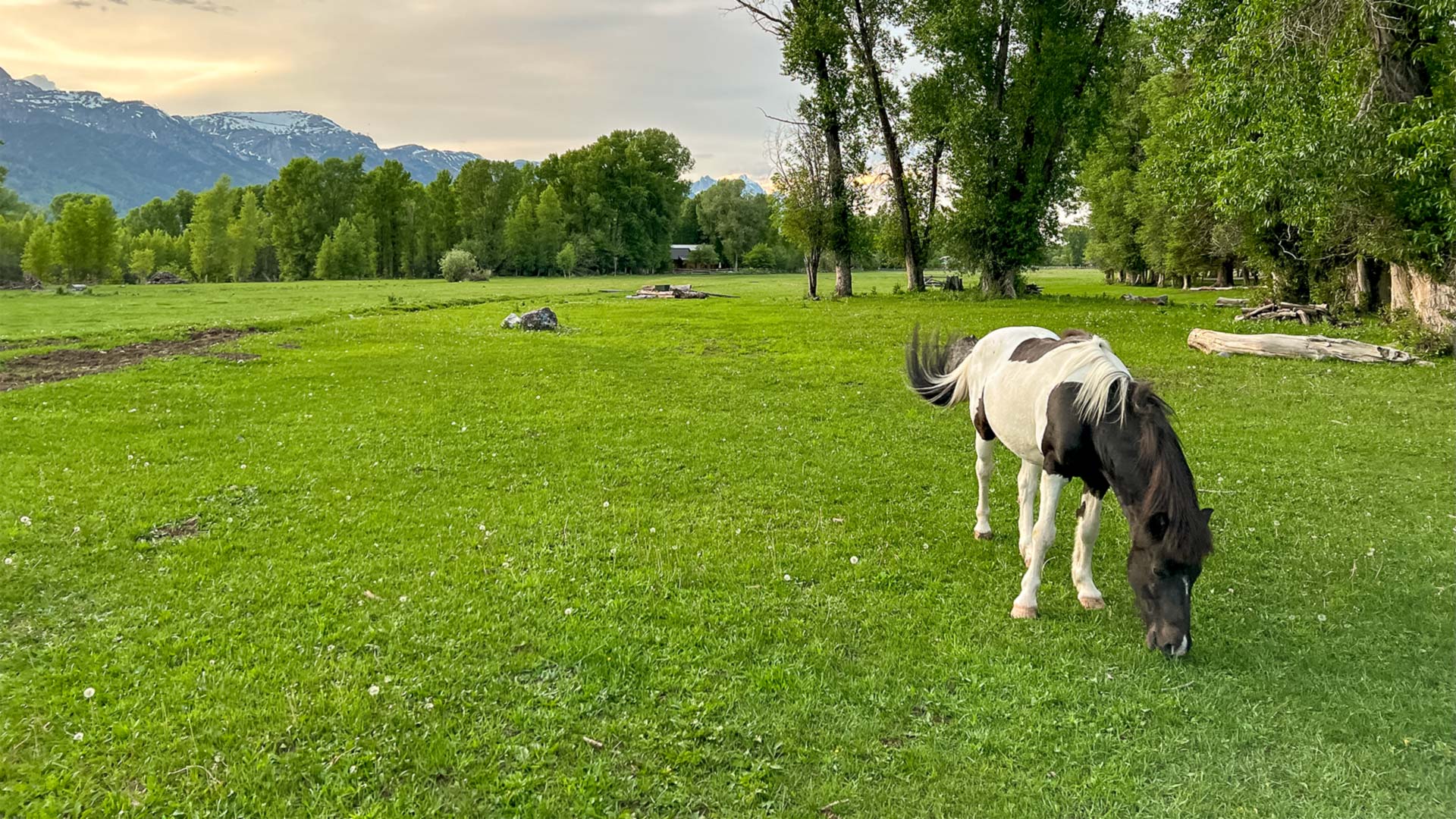 Linn Ranch | Family-run Cattle Ranch in Wilson, Wyoming