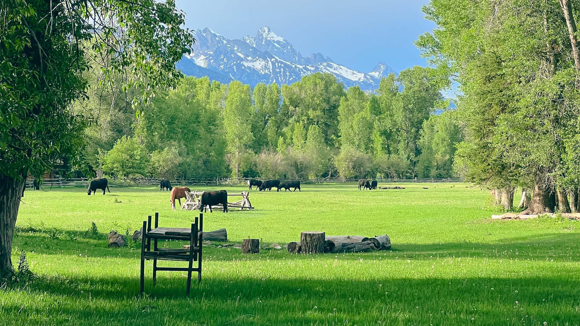 Linn Ranch | Family-run Cattle Ranch in Wilson, Wyoming